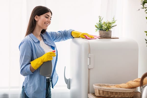 How To Clean Up Dust In Your Home | House Life Today