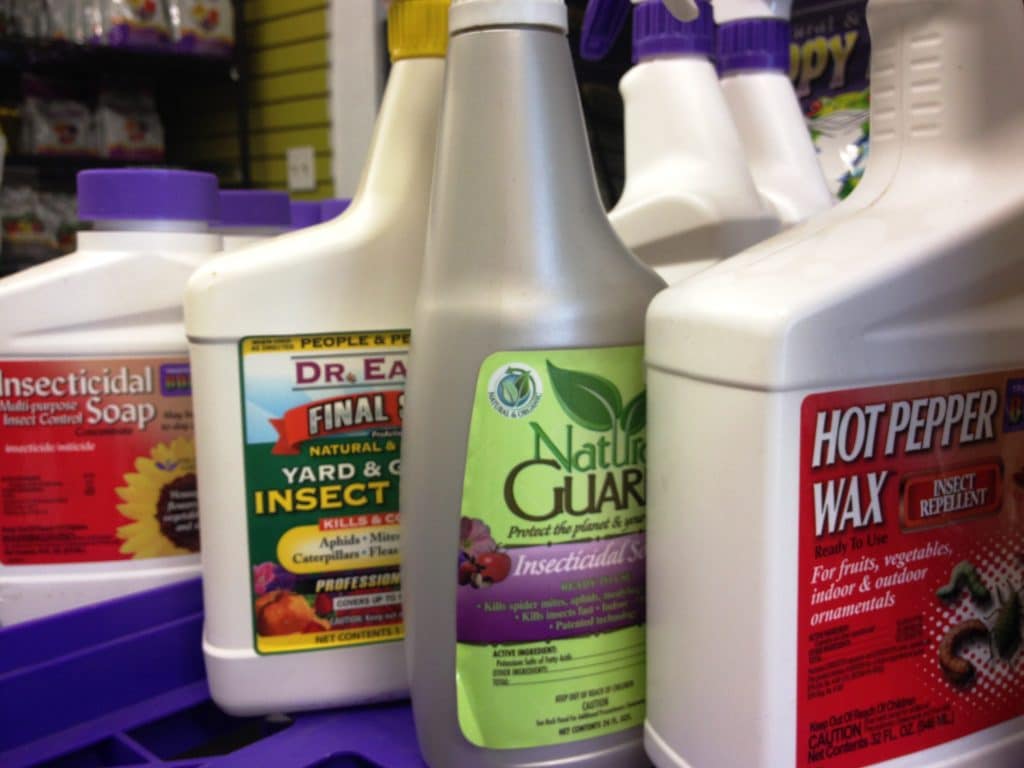 Best Organic Pest Control | House Life Today