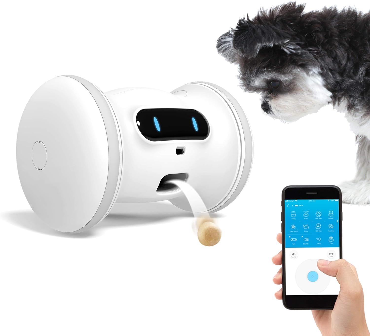 Innovative Smart Home Devices For Pet Owners | House Life Today