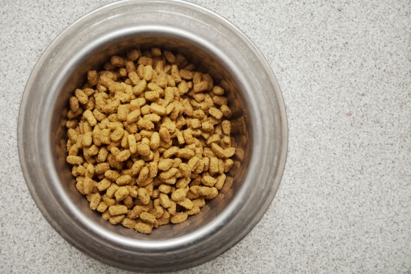 The Real Reasons Flies Are Invading Your Kitchen | House Life Today